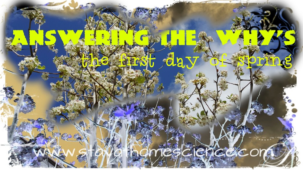 Answering the “Whys”: First Day of Spring – Stay-at-Home Science