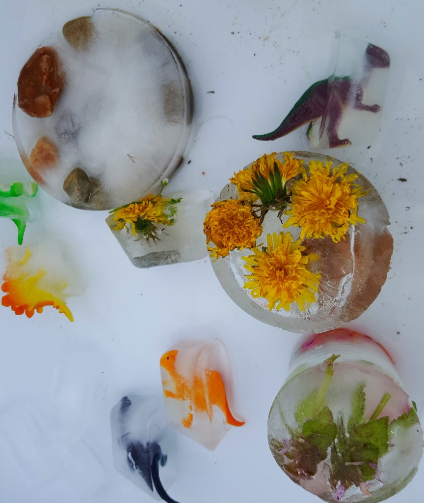 Freezing and Melting Ice Exploration – Stay-at-Home Science