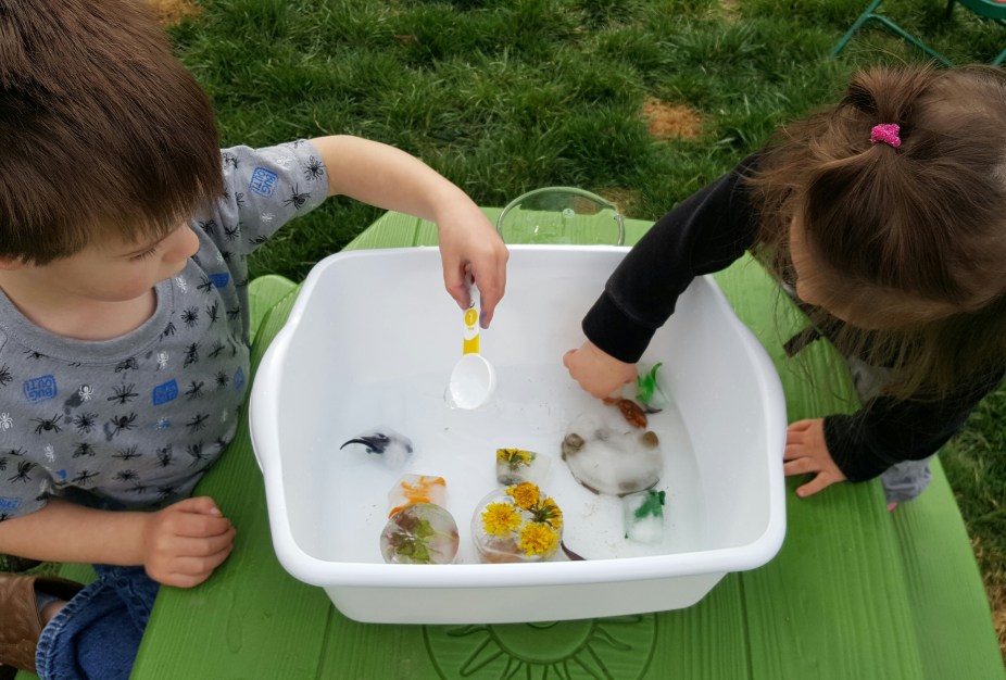 Freezing and Melting Ice Exploration – Stay-at-Home Science