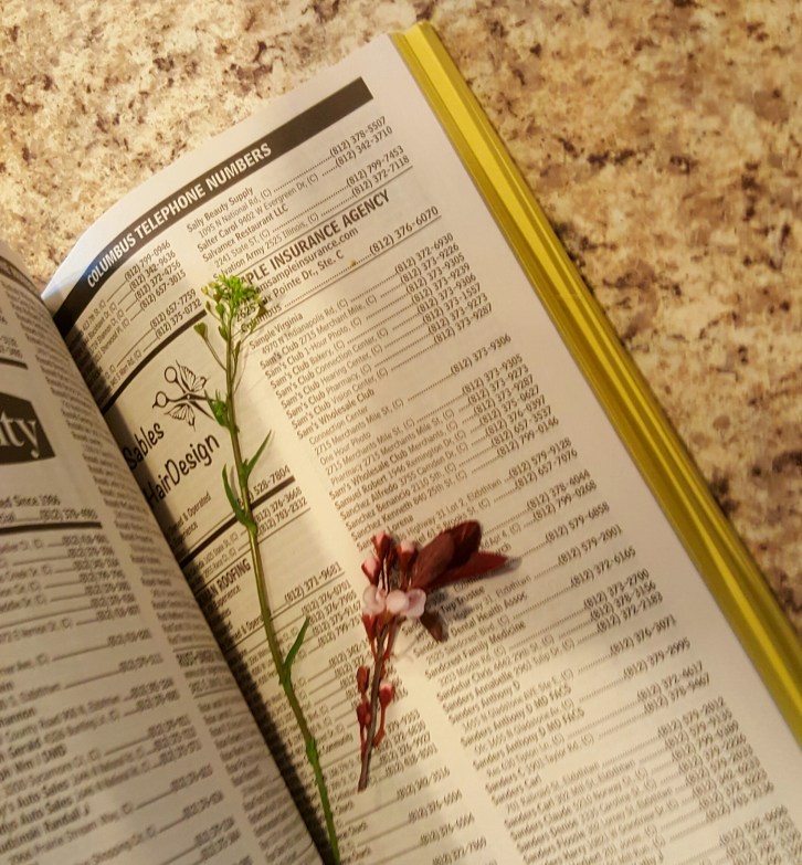 Flower Exploration and Bookmark Craft – Stay-at-Home Science