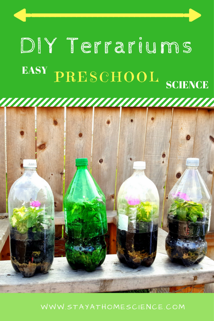 Make a Tabletop Garden: Soda Bottle Terrarium – Stay-at-Home Science