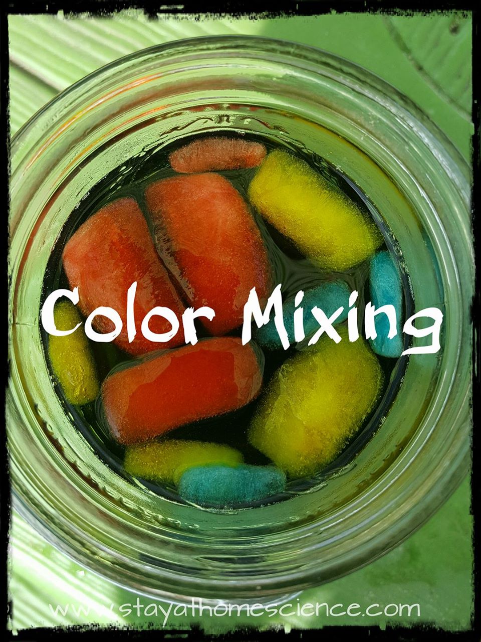 Color Mixing with Ice – Stay-at-Home Science