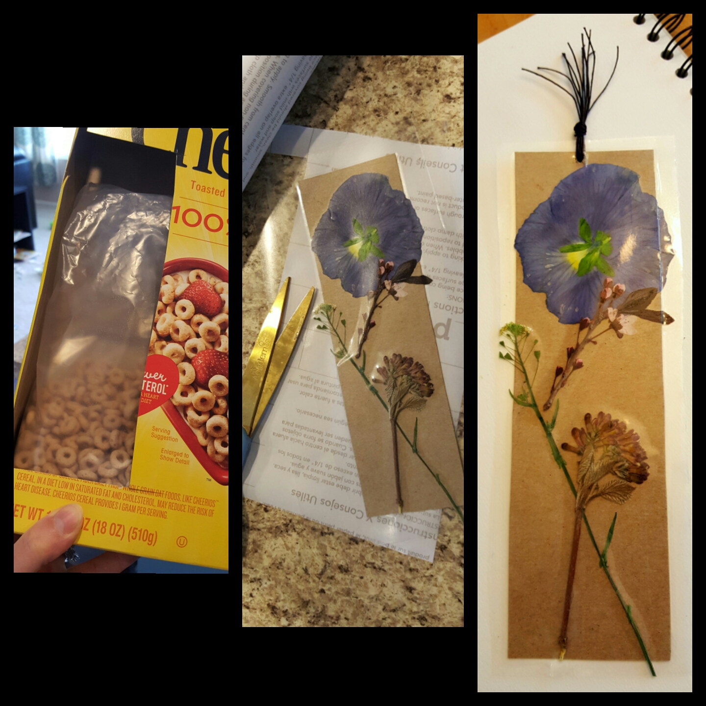 Flower Exploration and Bookmark Craft – Stay-at-Home Science
