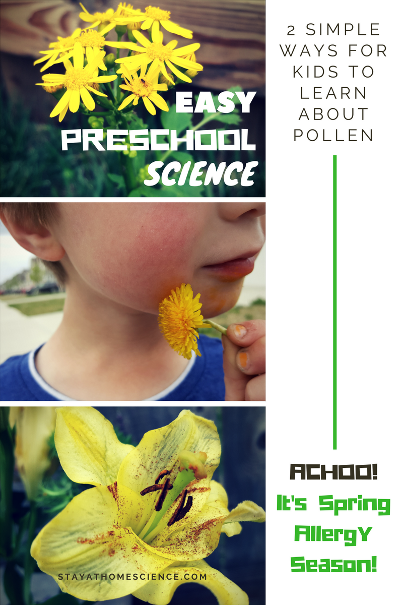 Answering the “WHYs”: Spring Allergies – Stay-at-Home Science