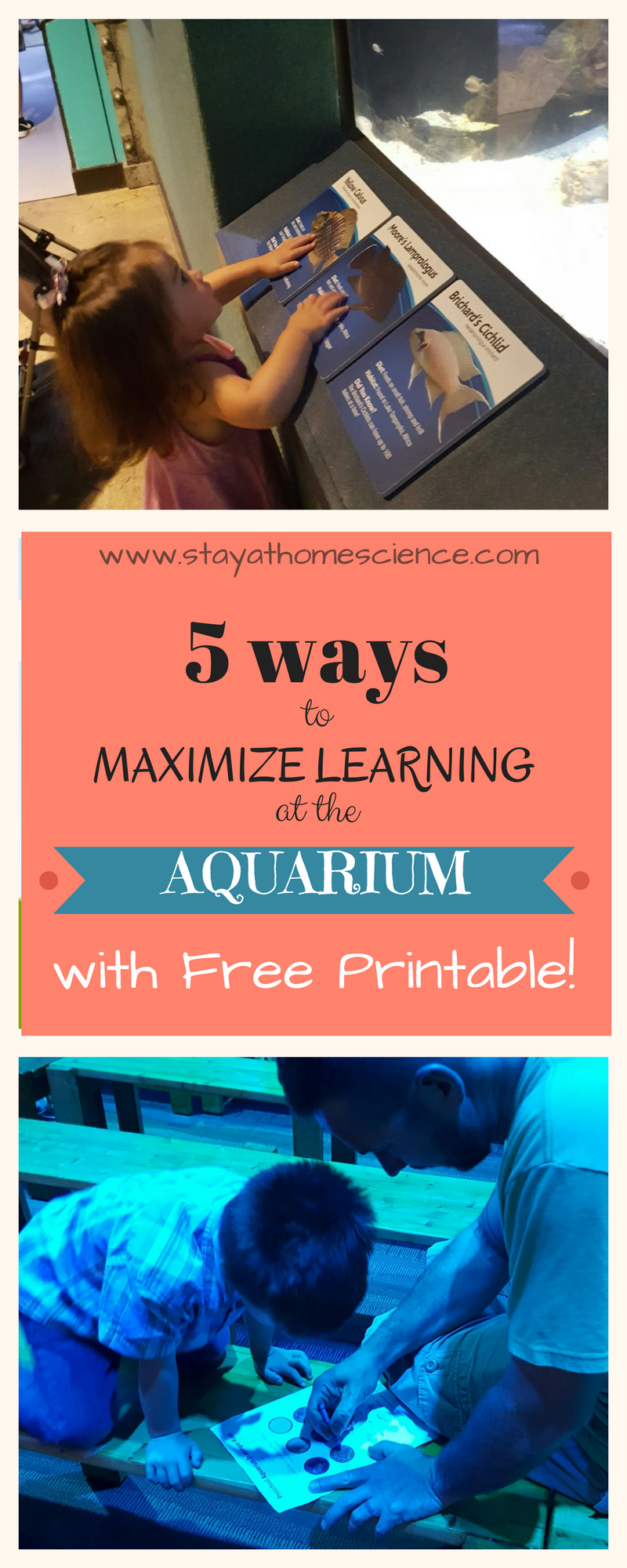 5 Ways to Maximize Your Preschooler’s Learning Experience at the ...