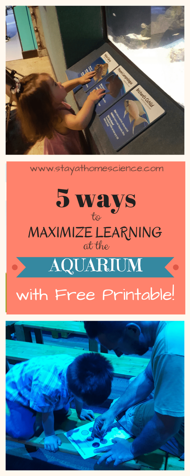 5 Ways to Maximize Your Preschooler’s Learning Experience at the ...