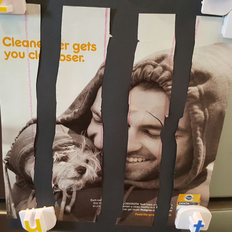 Make a Simple Optical Illusion – Stay-at-Home Science