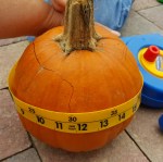 PUMPKINS: 5 Easy Science Activities! – Stay-at-Home Science