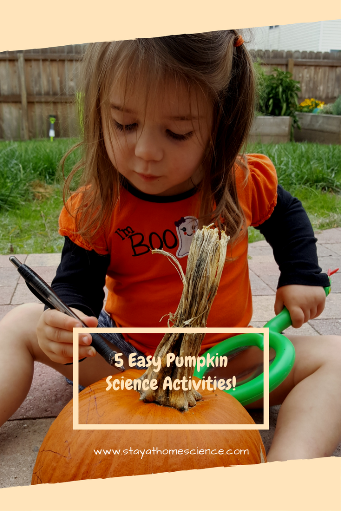 PUMPKINS: 5 Easy Science Activities! – Stay-at-Home Science