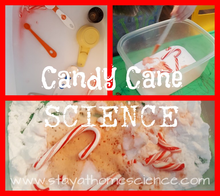 Candy Canes and the Scientific Method! – Stay-at-Home Science